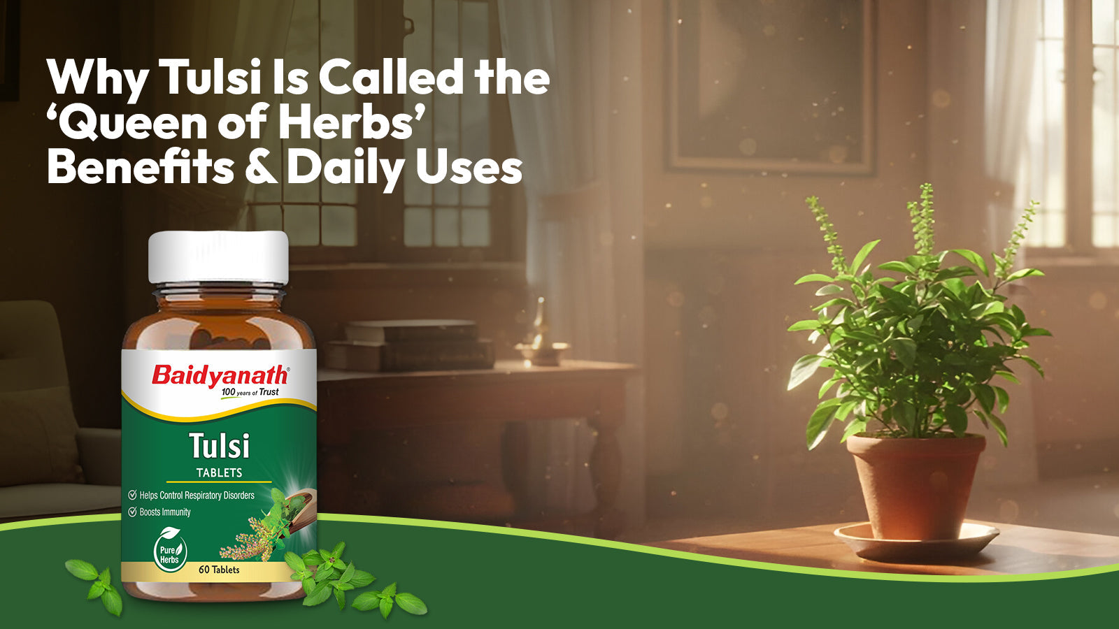 Tulsi (Holy Basil) Benefits: Uses, Types, Medicinal Properties & Home ...