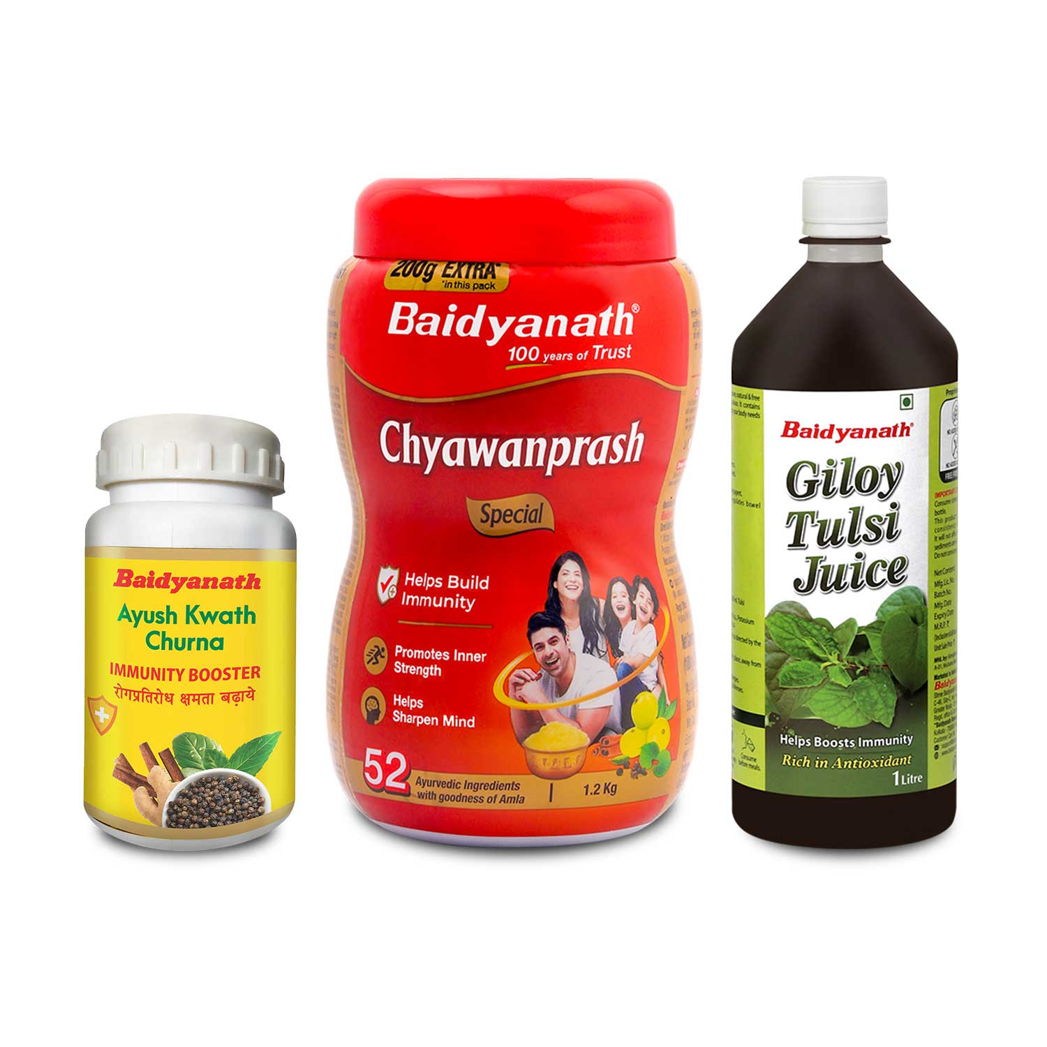 Baidyanath Immunity Booster Combo with Ayush Kwath Churn | Chaywanpras ...