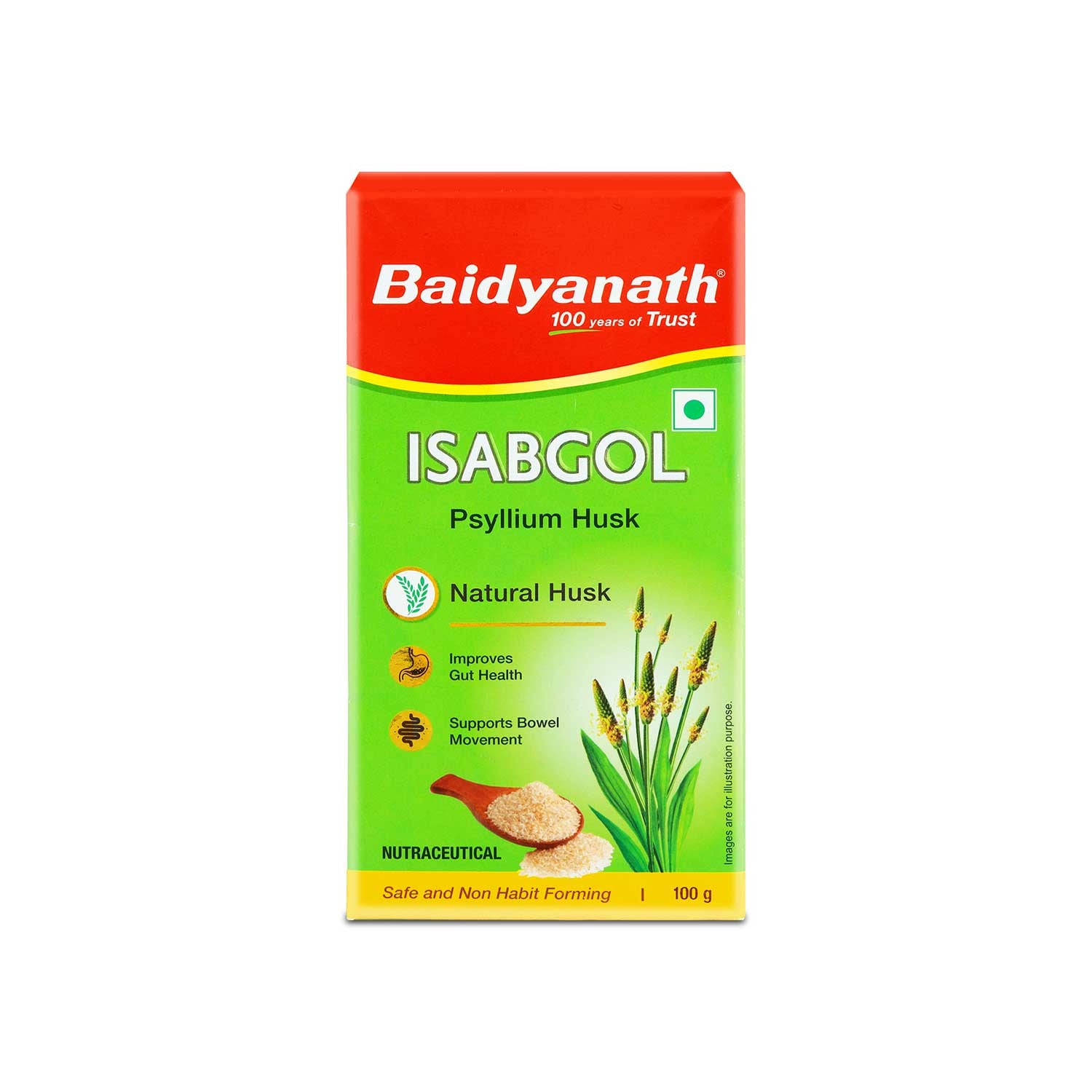 Baidyanath Isabgol (Psyllium Husk) Powder | Supplement For Digestion ...