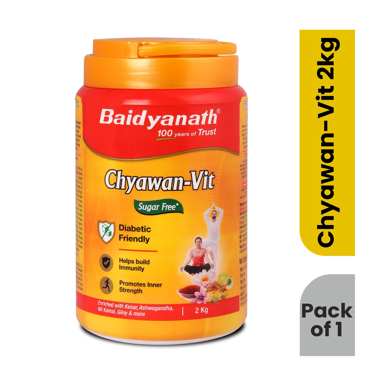 Baidyanath Sugar Free Chyawan-Vit | Boost Immunity Naturally with No ...