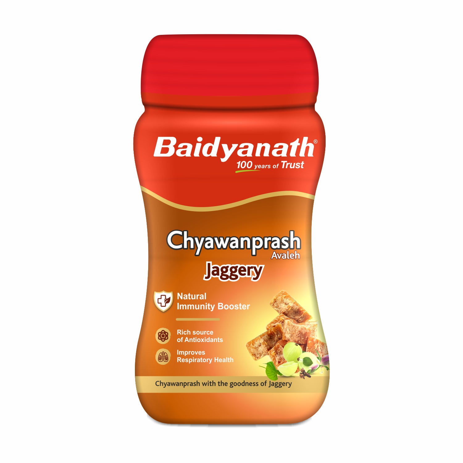 Baidyanath Jaggery Chyawanprash 750gm – Baidyanath Ayurved