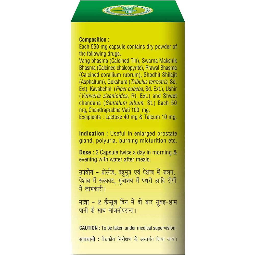 Baidyanath Prostaid Capsule 60 Capsules (Pack of 2) – Baidyanath Ayurved